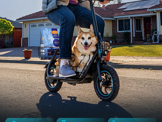 Gyroor C1S Electric Scooter with seat, Removable Dual Baskets - 550W M ...